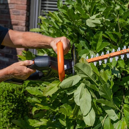 Scotts hedge trimmer store